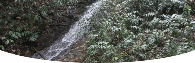 Mountain Venue for Weddings and Events | Splendor Mountain